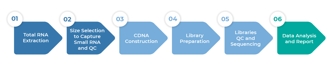 Small RNA Sequencing - Texas Scientific